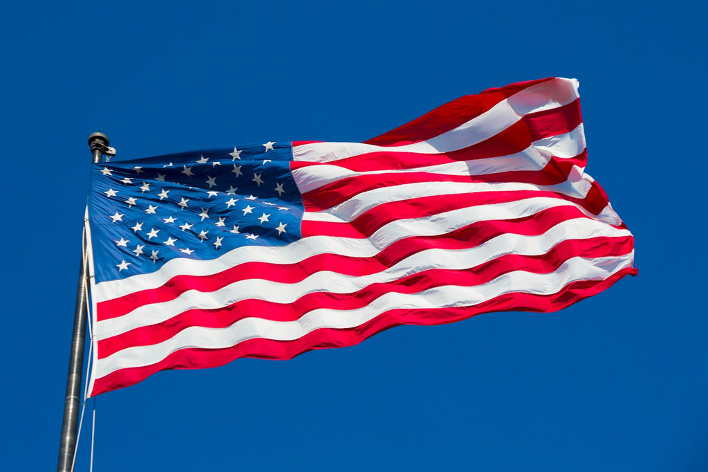The Most Iconic Flags in American History – Atlantic Flagpole