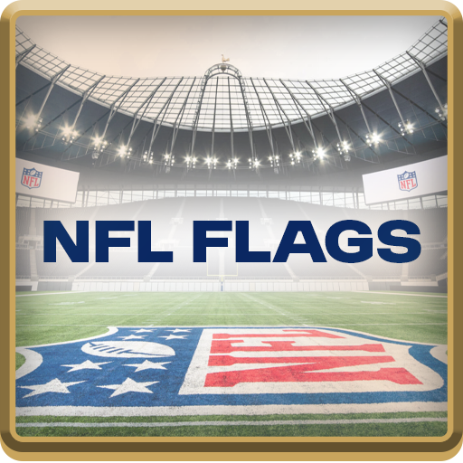 NFL Flags - 3x5 National Football Flags | Atlantic Flag – Atlantic Flagpole