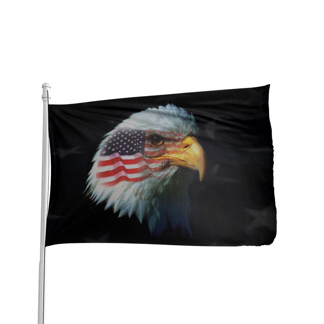 eagle with flag