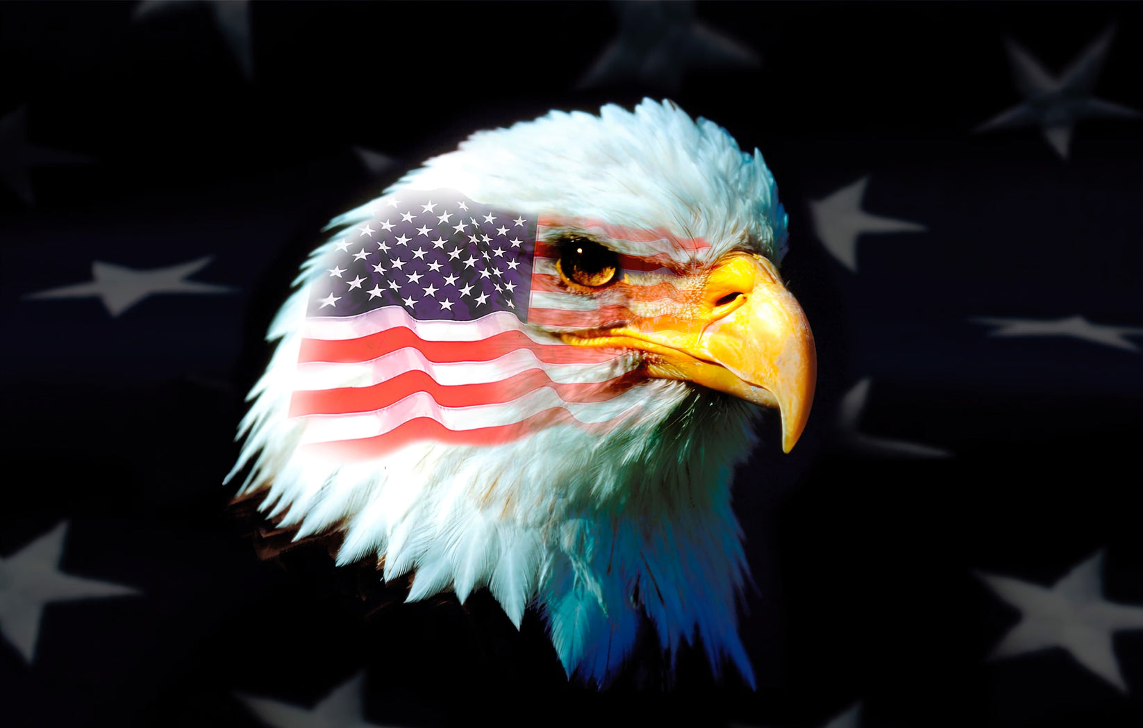 Patriotic Eagle Flag 3x5 - Outdoor Nylon | Atlantic Flag & Pole ...